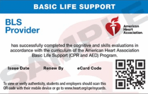 BLS, ACLS & PALS Training in New York | Same Day Certification