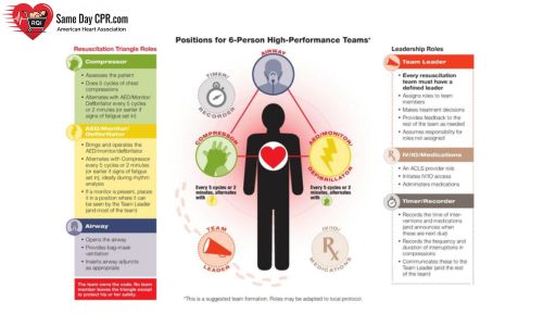 Resuscitation Triangle Roles in ACLS Teams: A Quick Guide