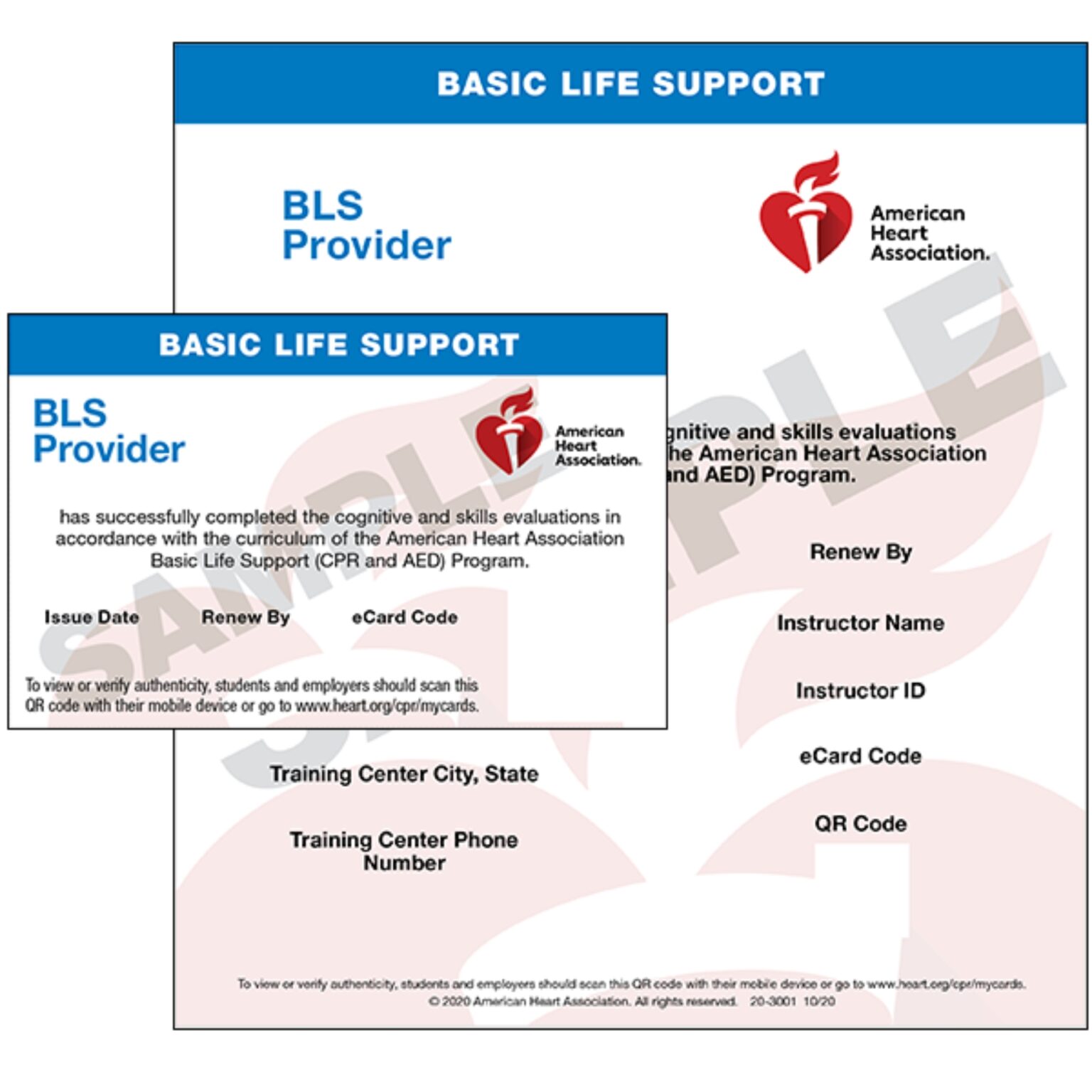 BLS Certification & Classes | Easy, Fast AHA eCard