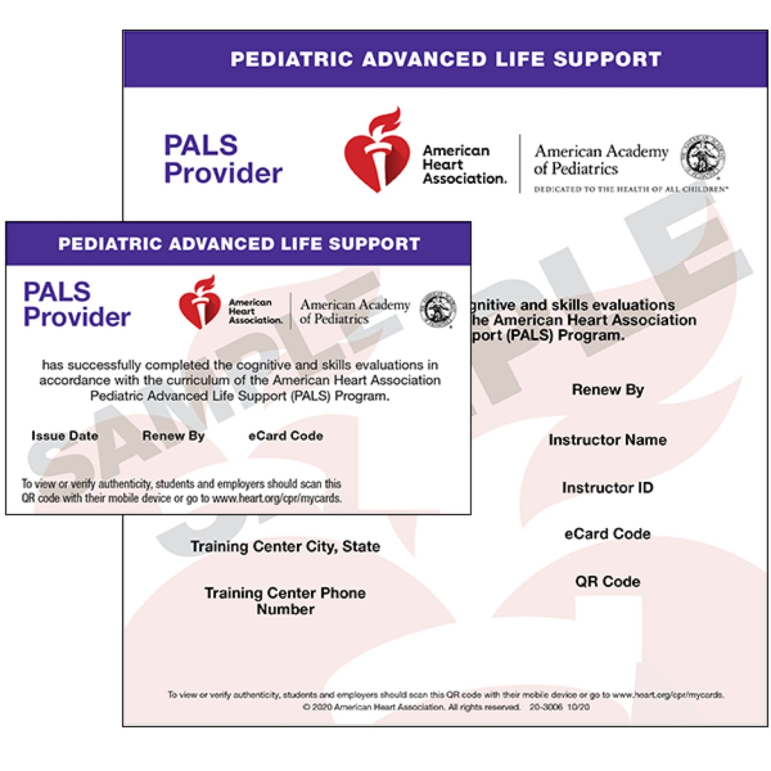 BLS, ACLS & PALS Classes | Online & In-Person Options