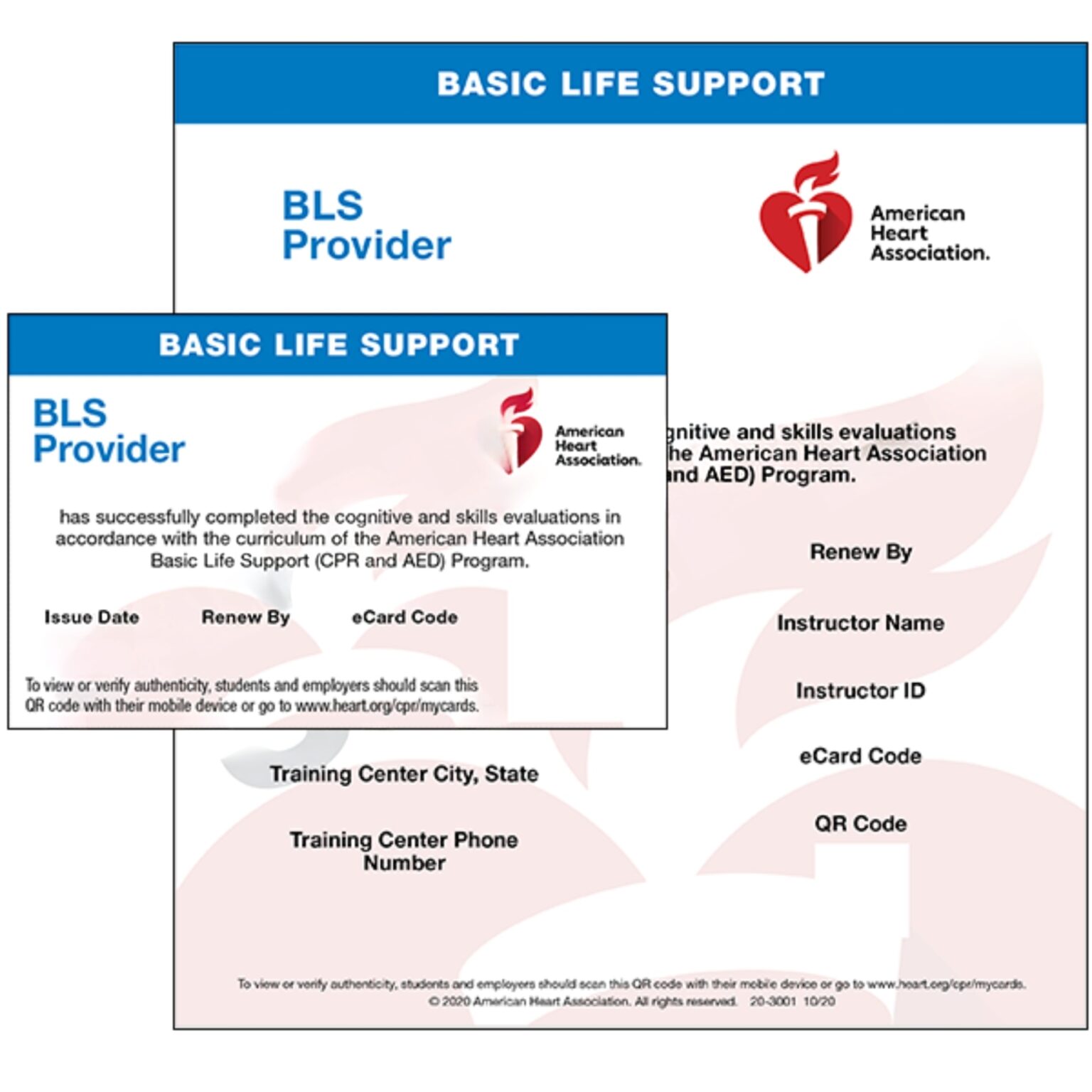 Get Certified Today | Same Day CPR, BLS, ACLS & PALS Classes